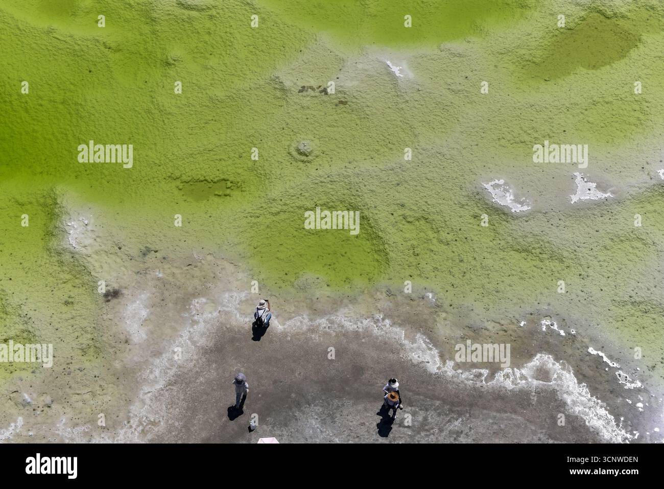 Aerial view of different shades of emerald green and yellow at Jade ...