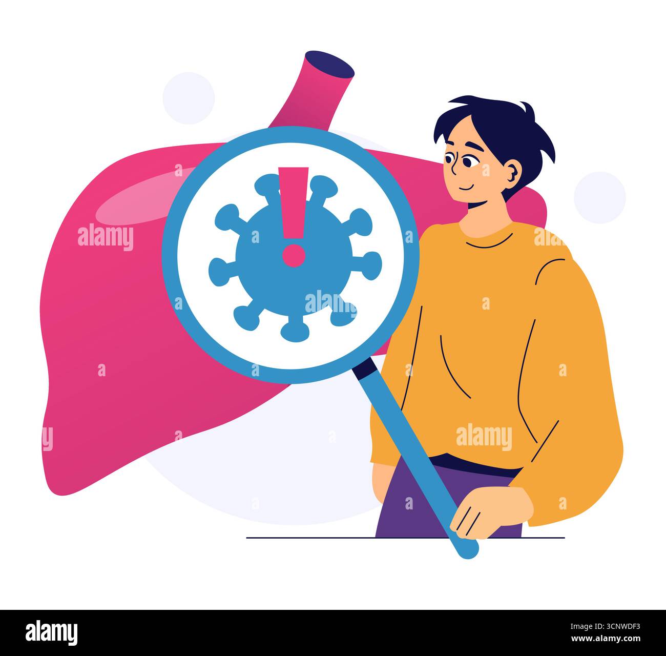 Vector illustration showing a person observing a liver with a ...