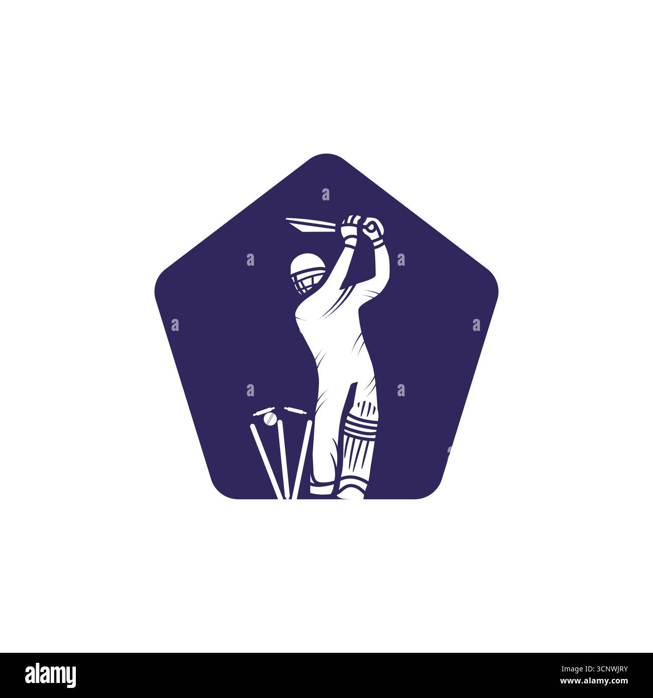 Professional cricket logo hi-res stock photography and images - Alamy