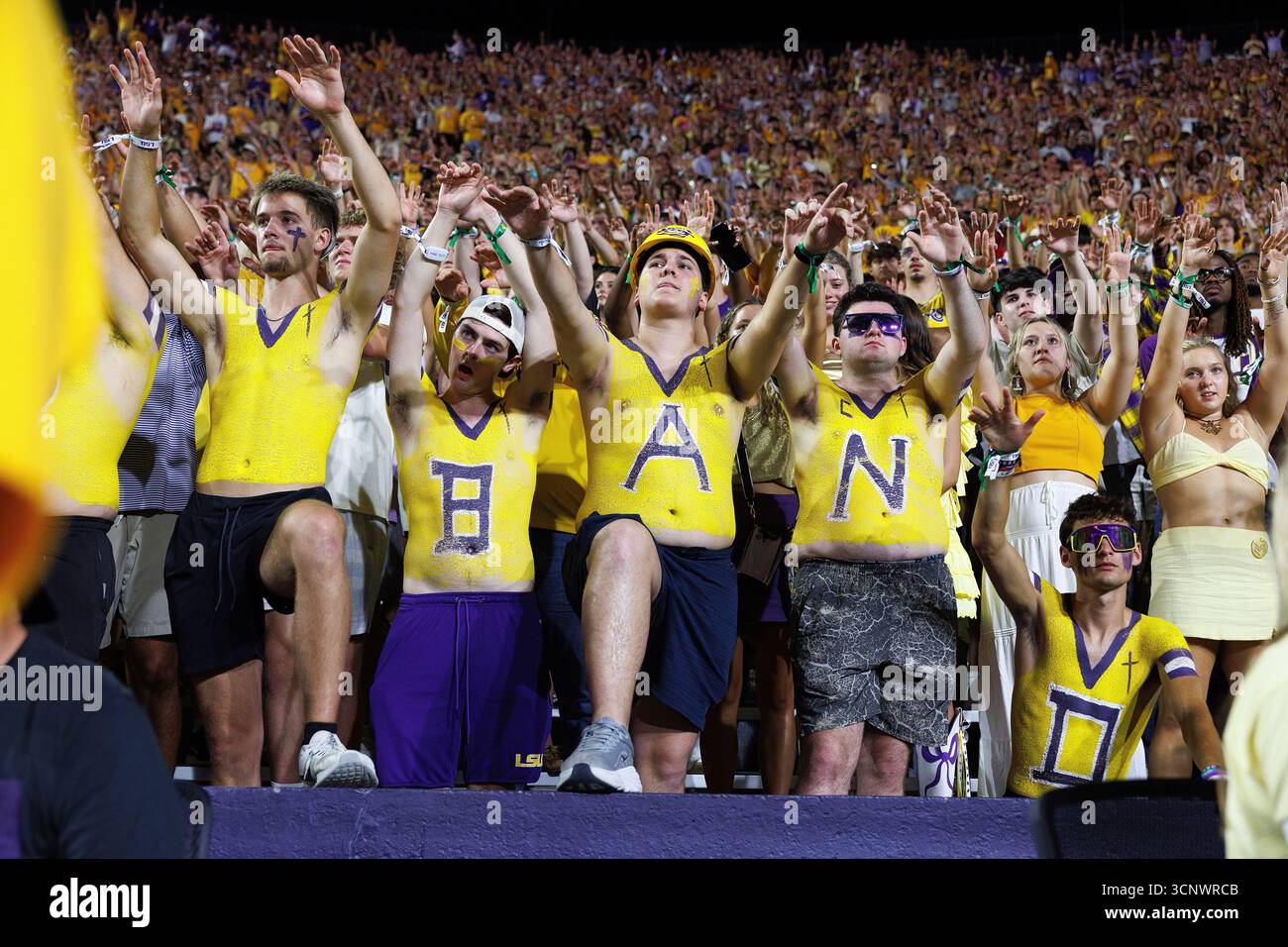 BATON ROUGE, LA - SEPTEMBER 13: /LSU students cheer from the end zone ...