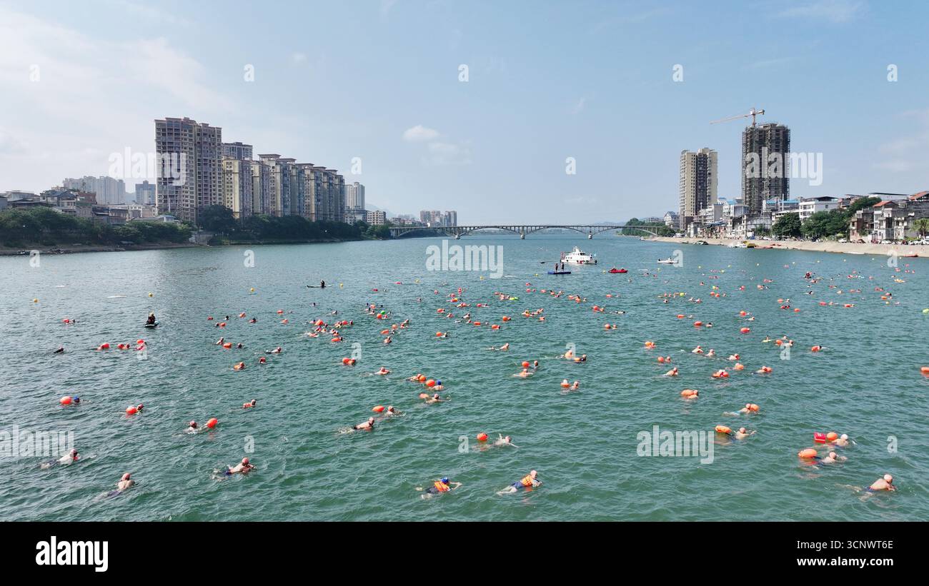 More than a thousand swimming enthusiasts participate in the Rongjiang ...
