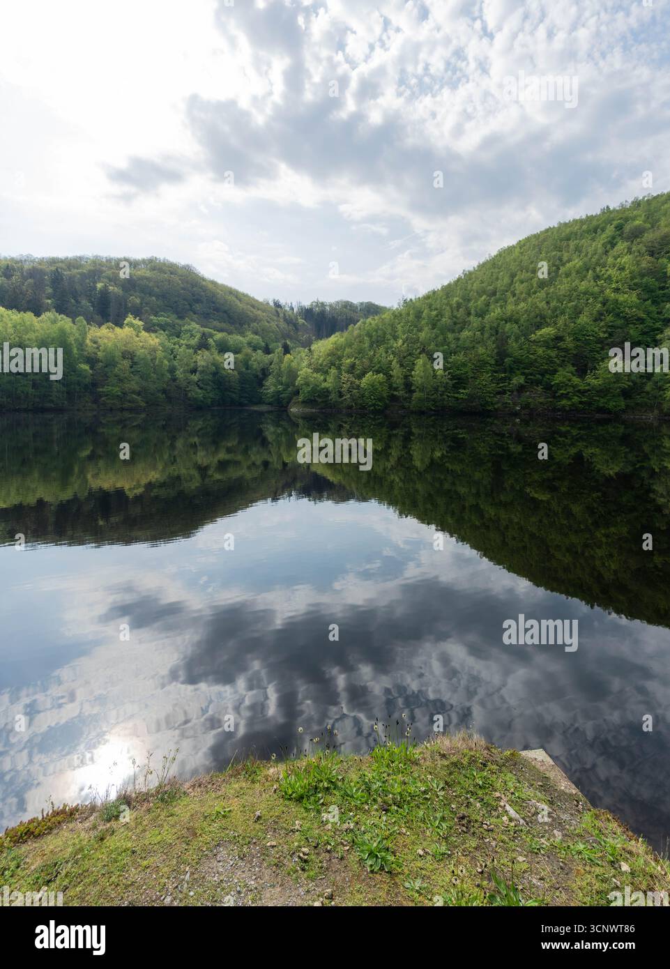 Scenic View on the Rursee in the Eifel Germany Stock Photo - Alamy