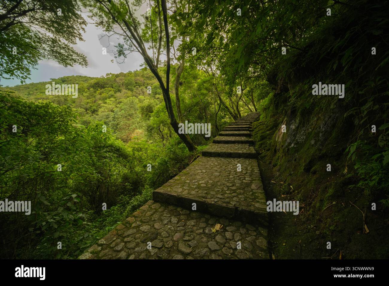 Stone path ascending through forest in magic place Malinalco, Mexico ...