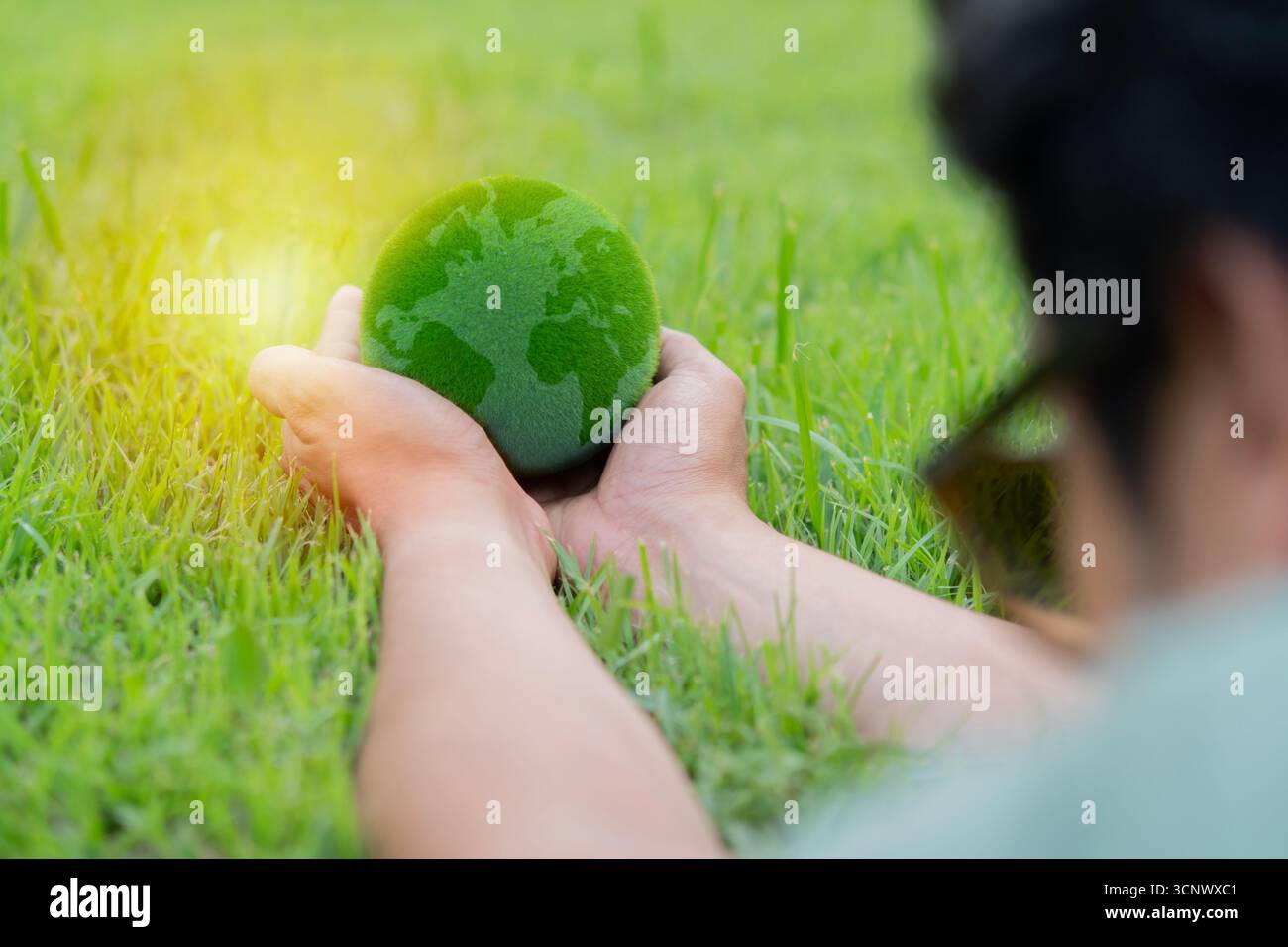 World environment day, Responsibility for a green planet and global ...
