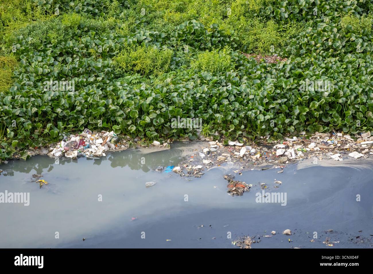 Water pollution in rivers with trash. Human impacts on the environment ...