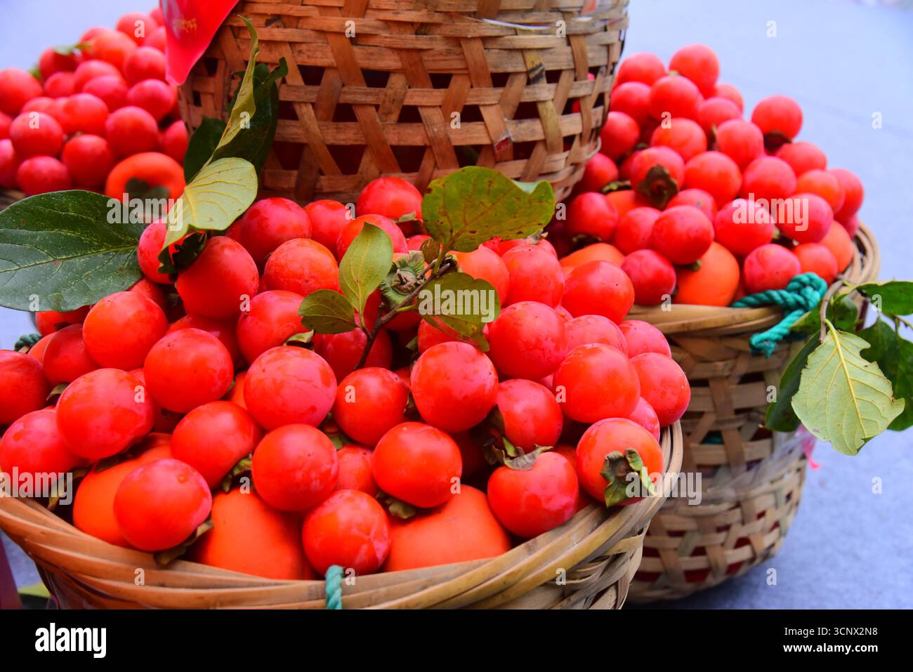 The 2025 Hangzhou Xixi Persimmon Festival kicks off at Xixi wetland ...
