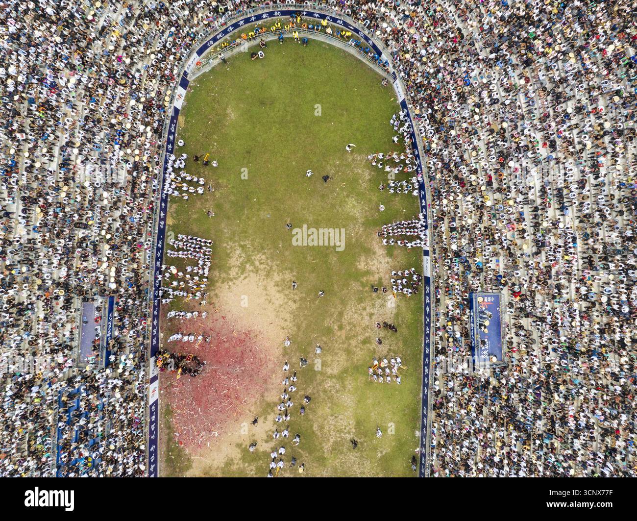 A traditional bullfighting event is held in Bingmei Town in Congjiang ...