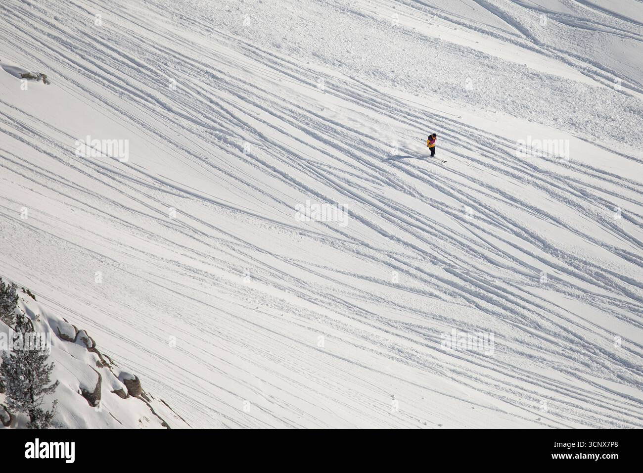 Skier carves fresh tracks hi-res stock photography and images - Alamy