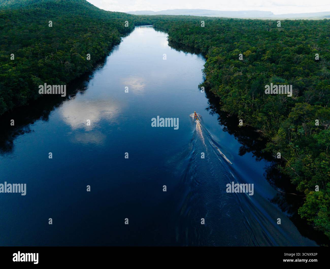 Aerial view of a Churún river reflecting the sky, flanked by dense ...