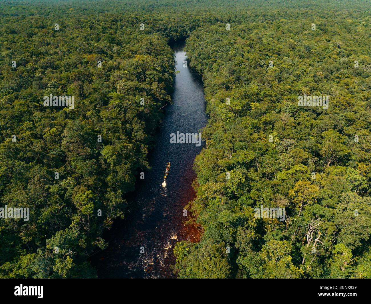 Aerial view of boats cutting through the inky Churún river amidst the ...