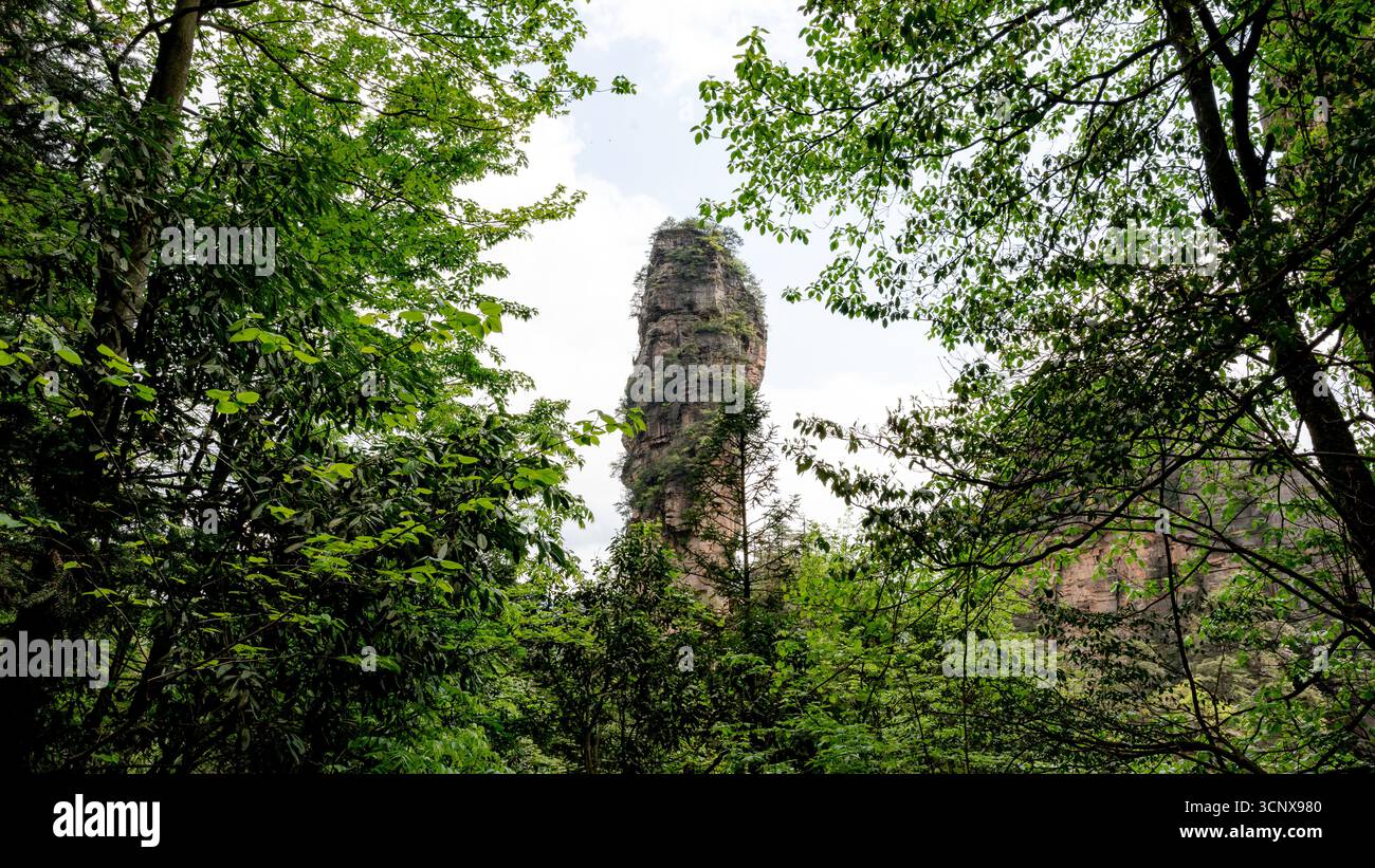 Low-angle view of Hallelujah Mountain framed by lush, dense vegetation ...