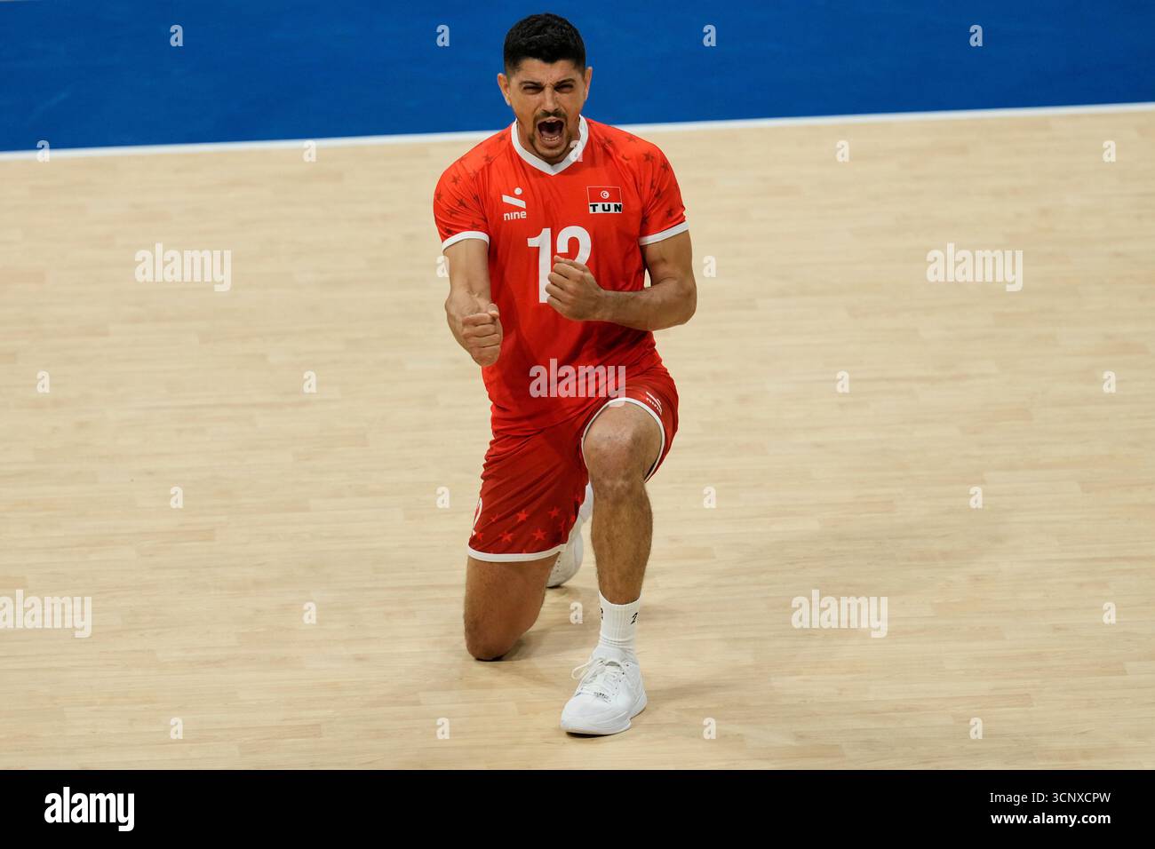 Mohamed Ridene of Tunisia reacts after scoring against Czech Republic ...