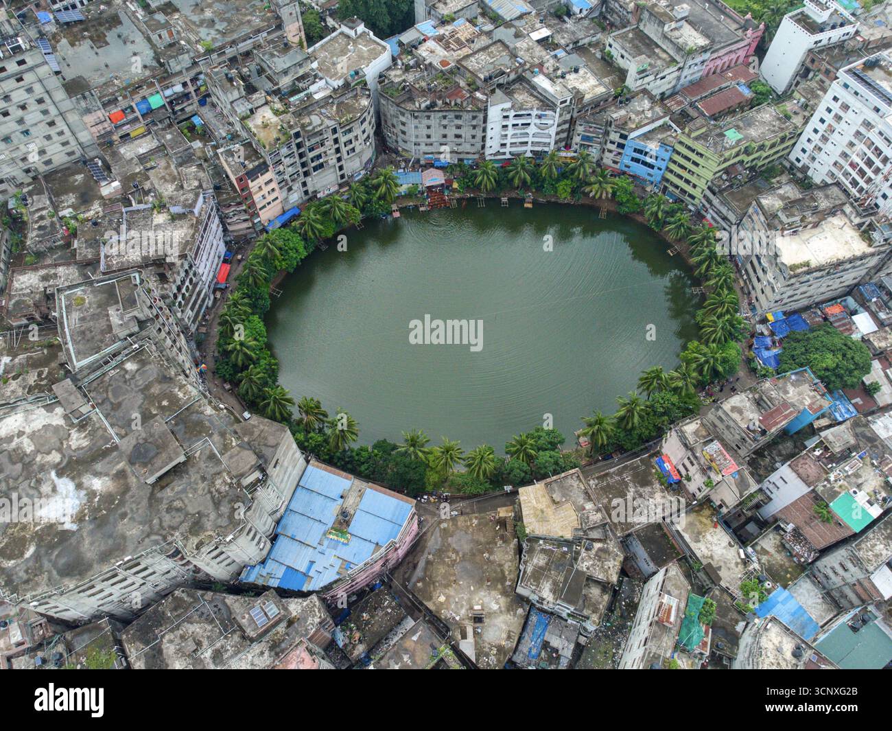 Aerial view of a serene, oval lake embraced by a ring of verdant trees ...