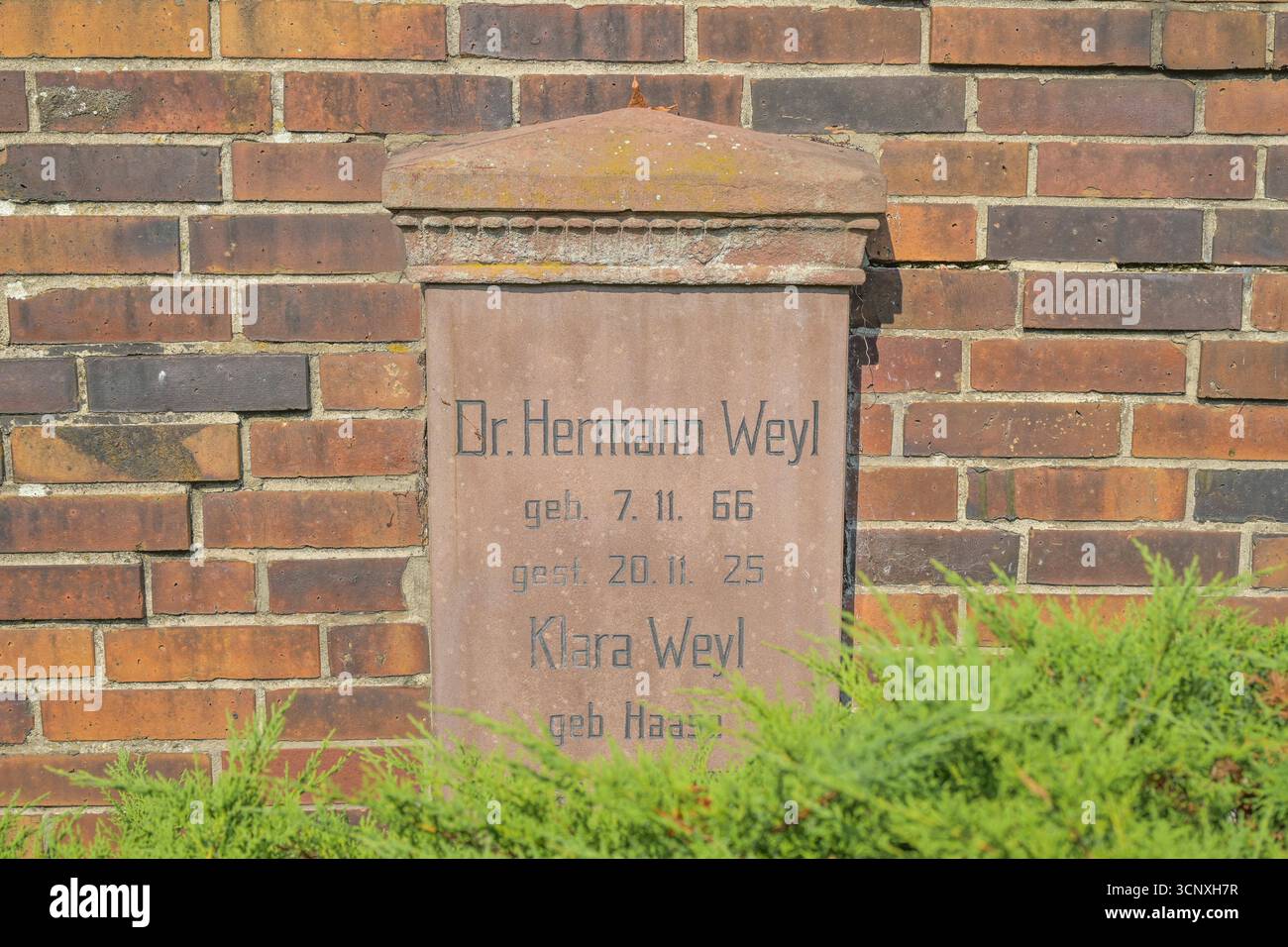 Hermann Weyl, Grab, Gedenkstätte der Sozialisten, Friedrichsfelde ...