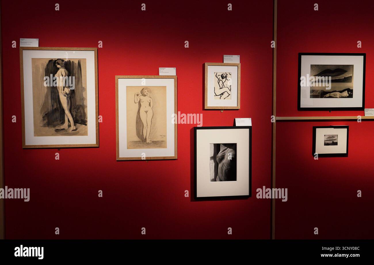 Milan, Preview of the Man Ray Forms of Light Exhibition at the Royal ...