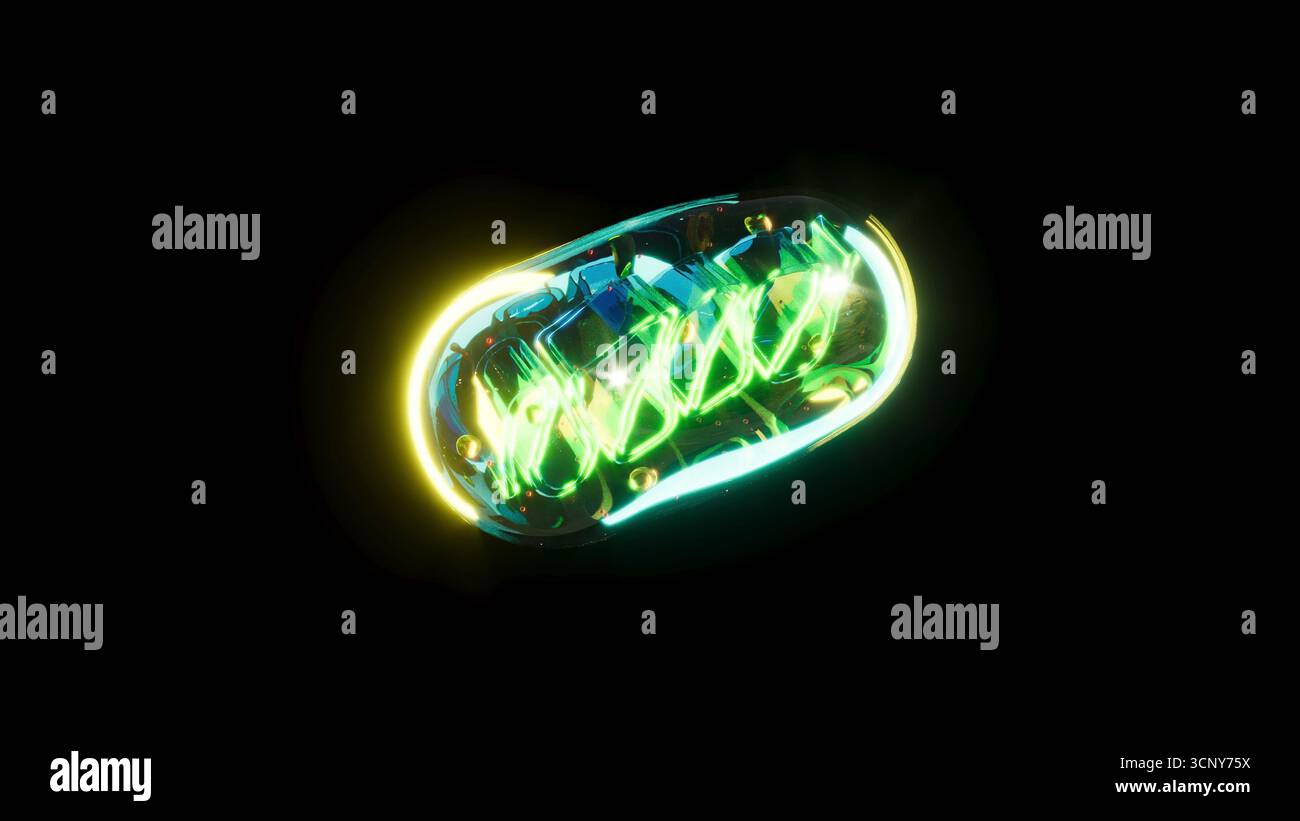 Micro mitochondria cell biology structure on black bg 3d render Stock ...