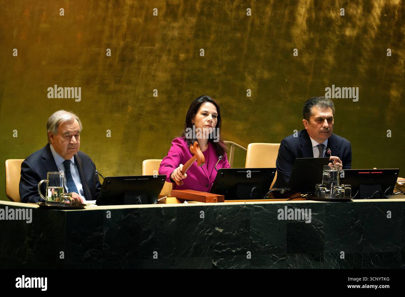 President of the United Nations General Assembly Annalena Baerbock ...