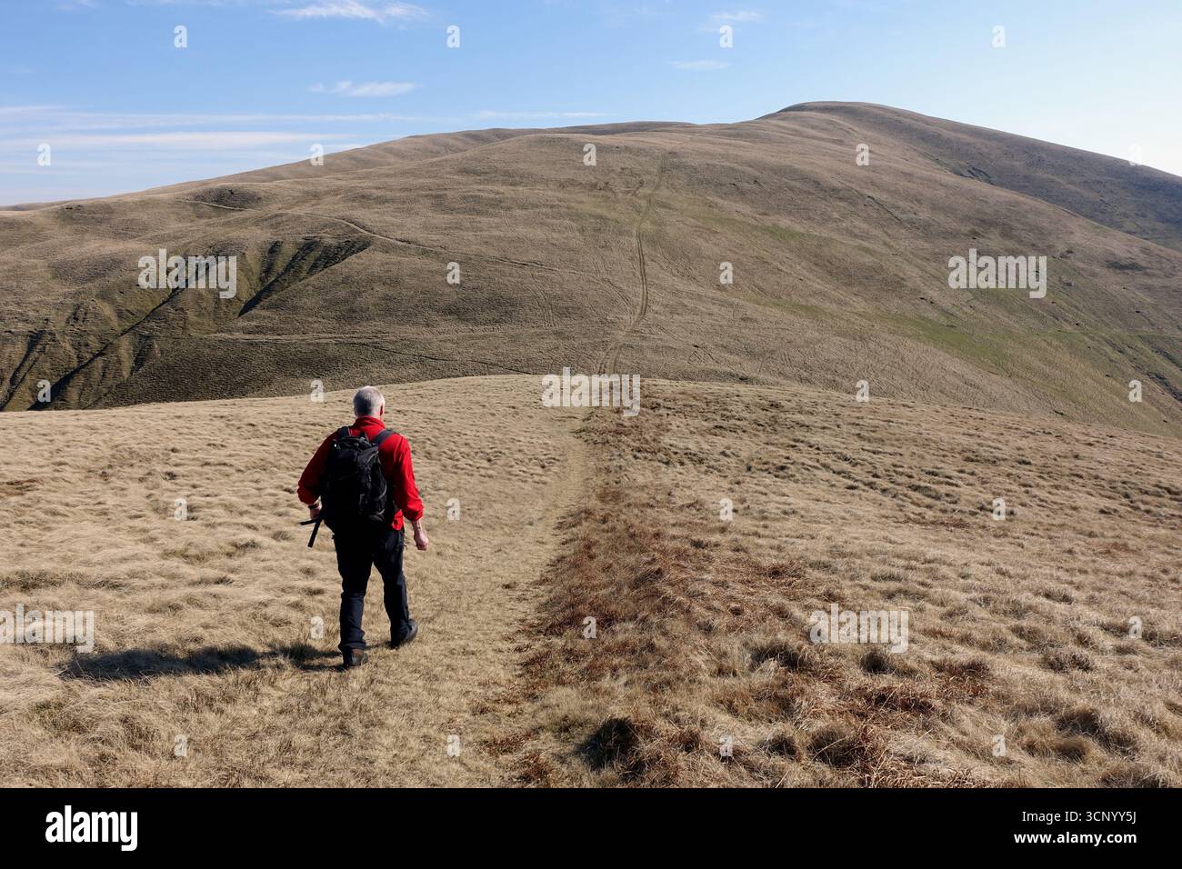 Single Lone Man (Hiker) Walking on Path to 'Fell Head' from 'Linghaw ...