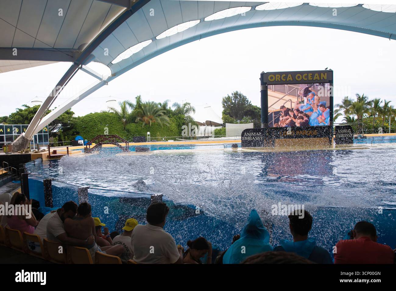 Audience reacting to splash of water during orca performance at Loro ...