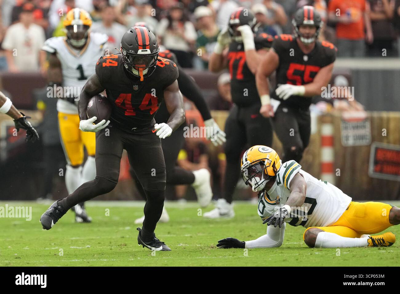 Cleveland Browns tight end Harold Fannin Jr. (44) runs after completing ...