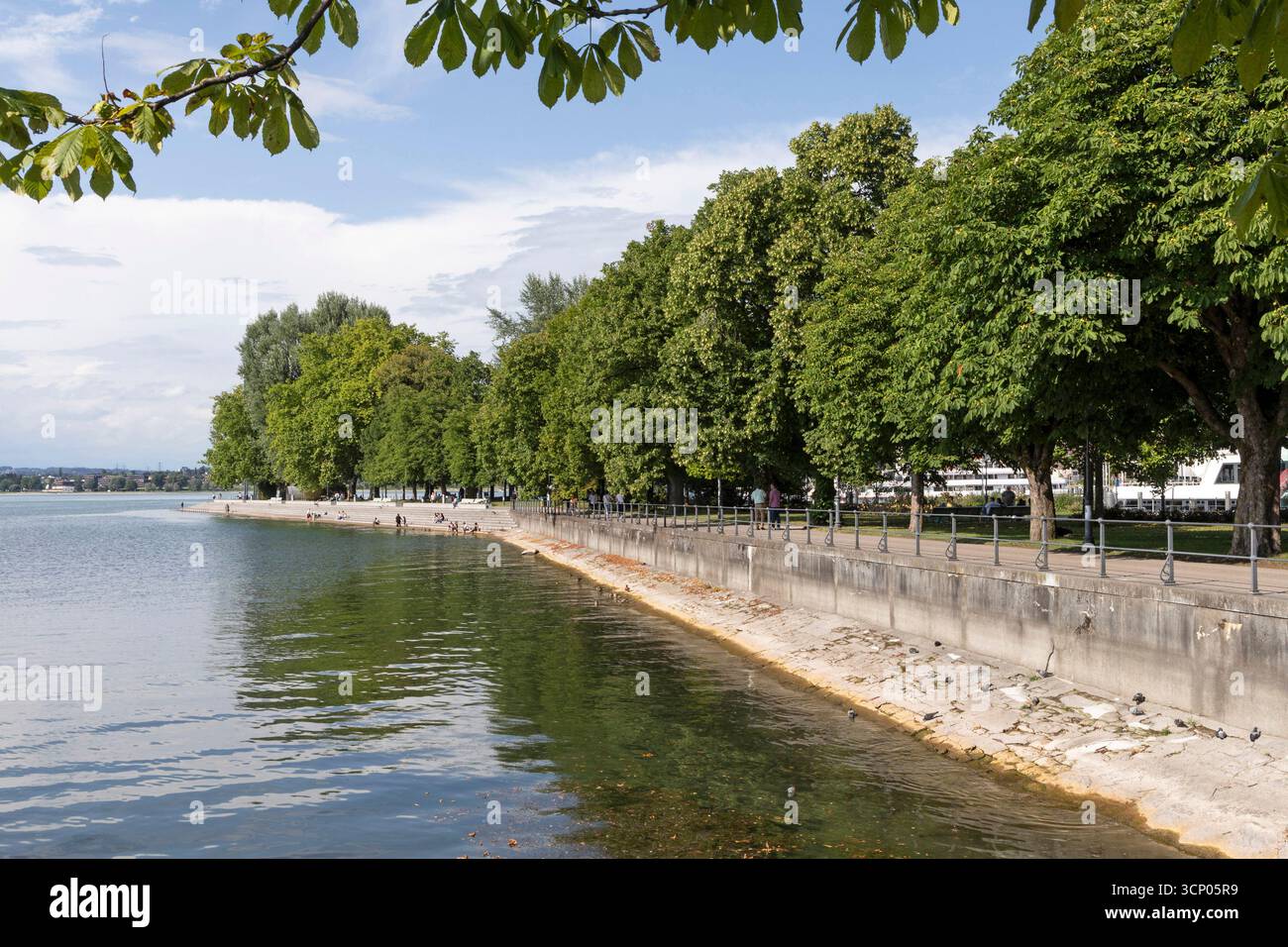 Niedrigwasser am Bodensee, Uferpromenade, Bregenz, Vorarlberg ...