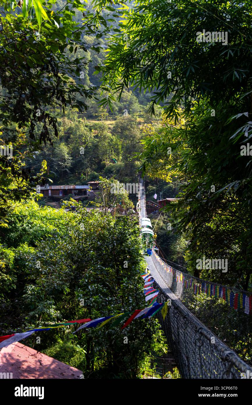 Nepali Suspension Bridge Prayer Flags Forest Path Stock Photo - Alamy