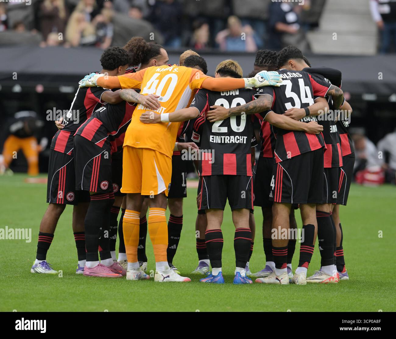 Team von Eintracht. Frankfurt fotografiert beim Fußball Bundesliga ...