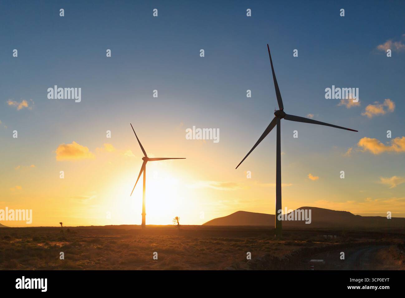 Tall wind turbines stand still as the sun sets, casting a warm glow on ...