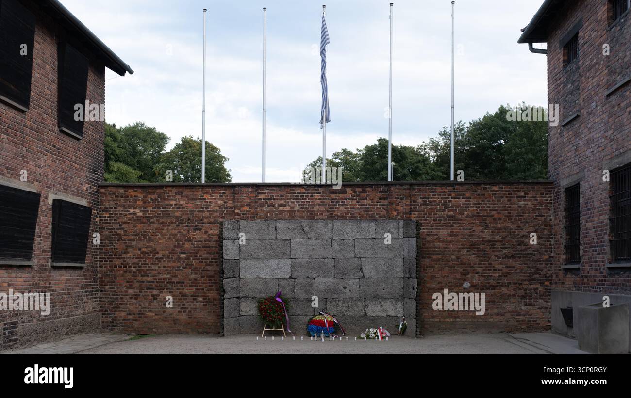 Many tourists auschwitz concentration hi-res stock photography and ...