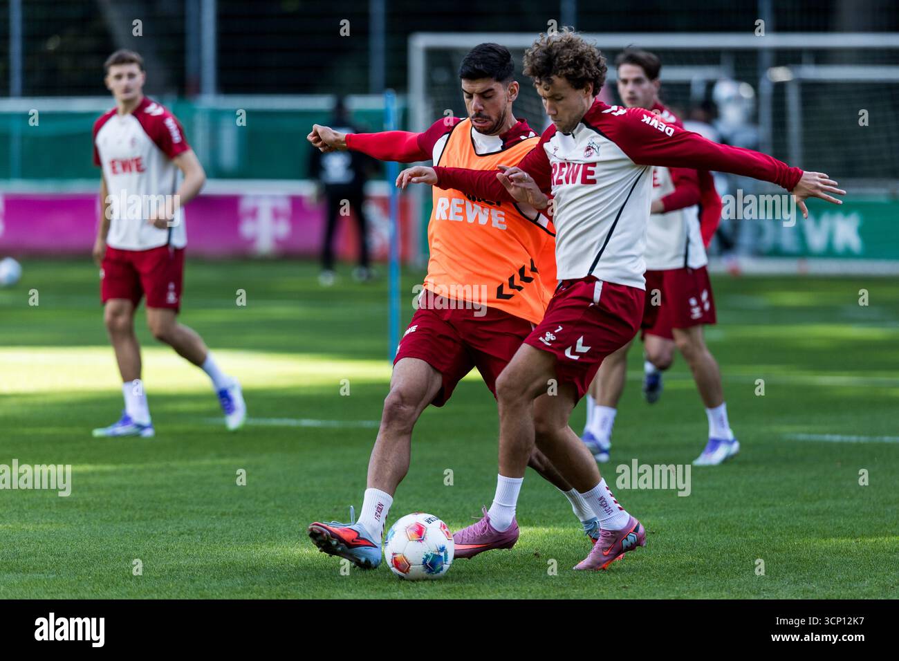 Zweikampf Cenk ?zkacar (1. FC K?ln, 39), Luca Waldschmidt (1. FC K?ln, 7) Training 1. FC K?ln ...