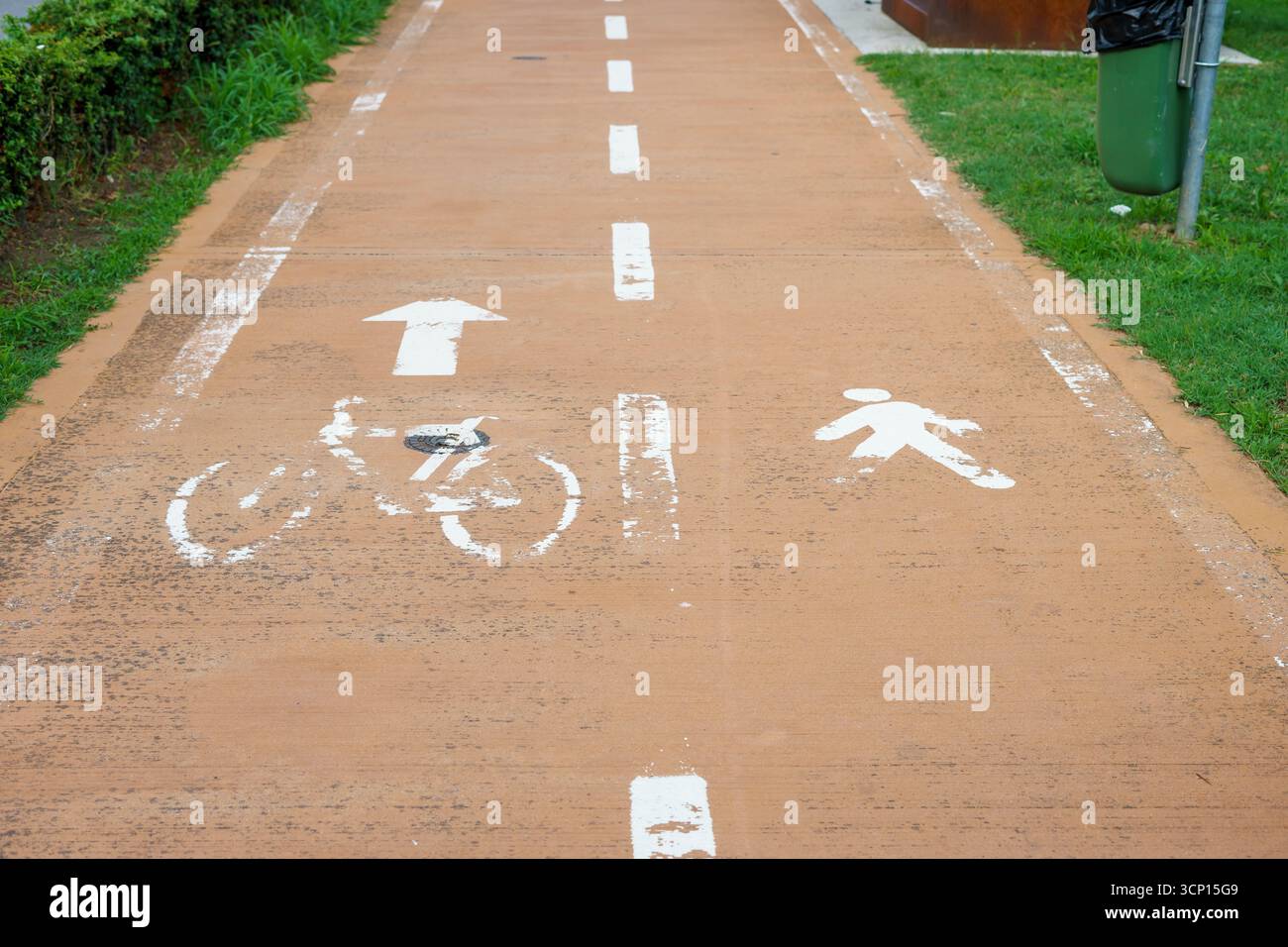 Shared pedestrian and bicycle path with white markings. Asphalt path in ...