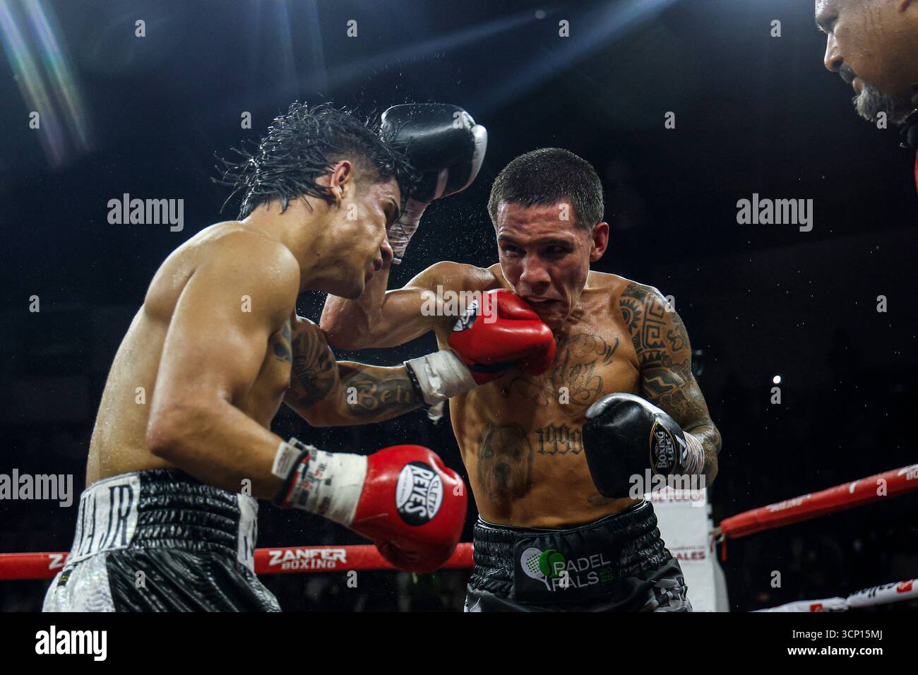 NOGALES, MEXICO - SEPTEMBER 6: Oscar Valdez (R) fights against Ricky ...