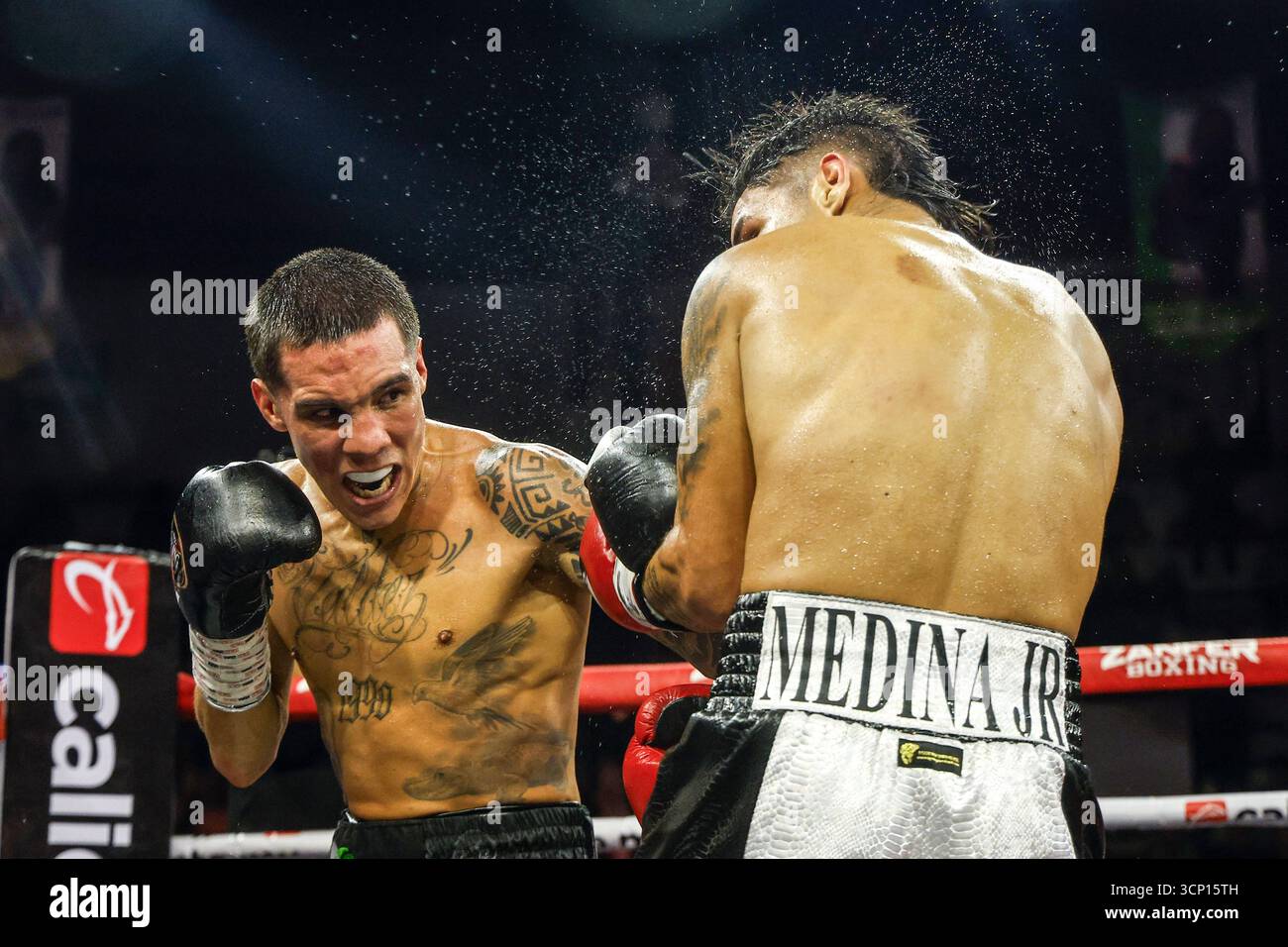 NOGALES, MEXICO - SEPTEMBER 6: Oscar Valdez (R) fights against Ricky ...
