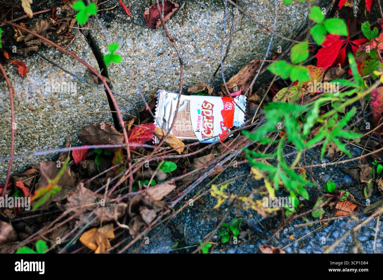 ISERLOHN, GERMANY — SEPTEMBER 2025: discarded Kinder Cards chocolate ...