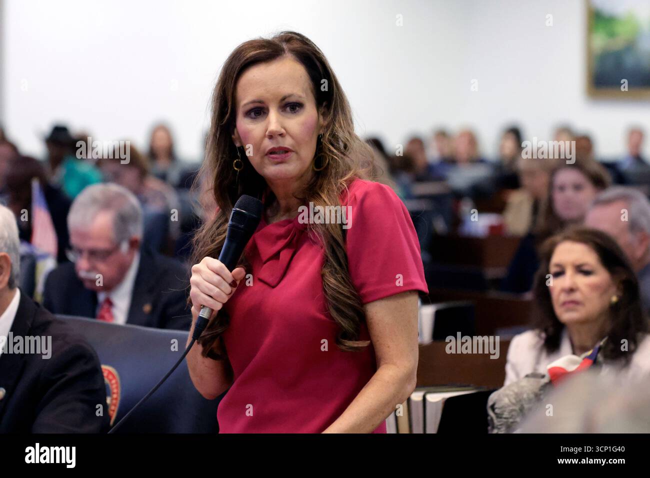 Rep. Tricia Cotham, R-Mecklenburg, introduces a bill in response to the ...