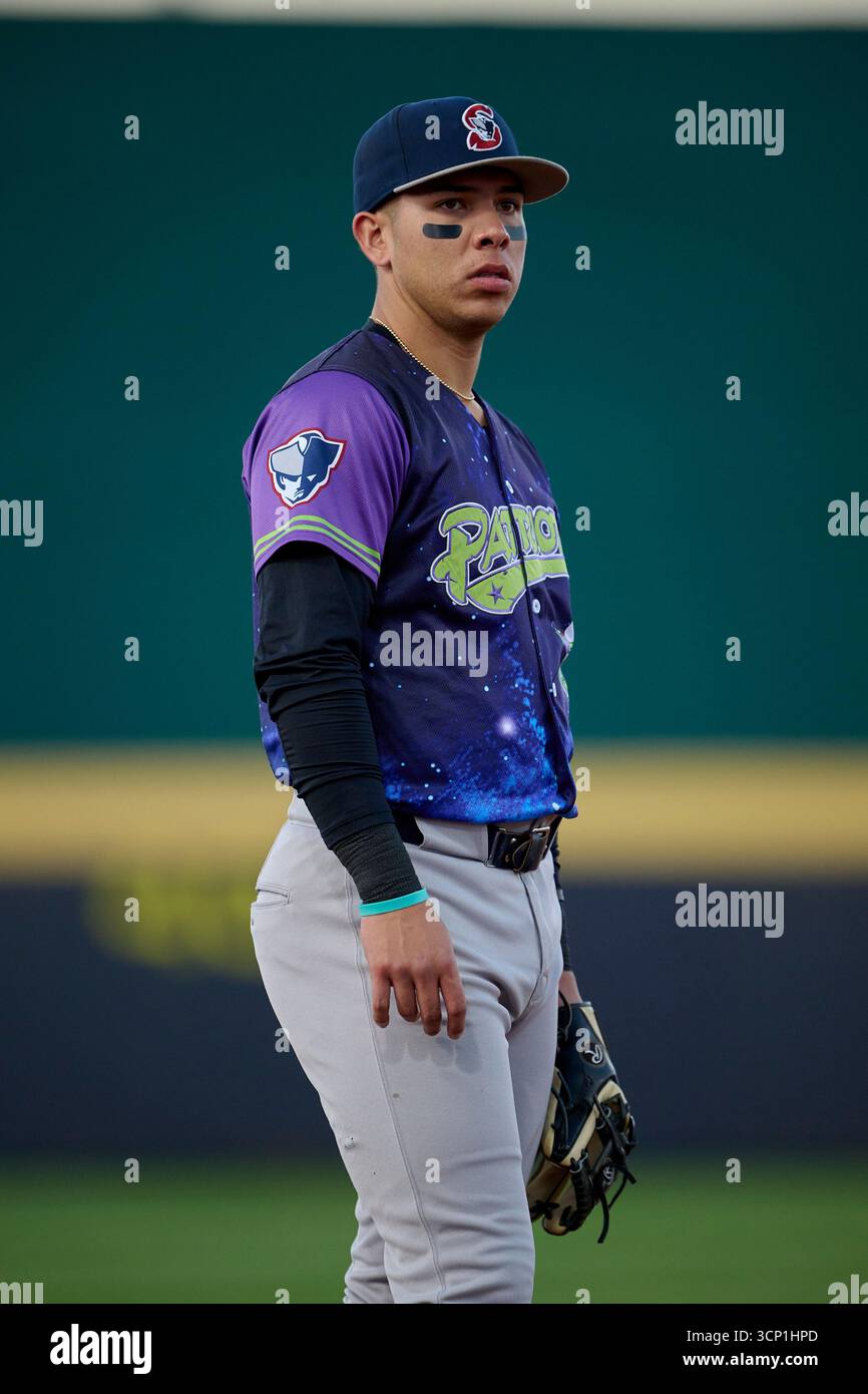 Somerset Patriots third baseman Dylan Jasso (4) during an MiLB Eastern ...