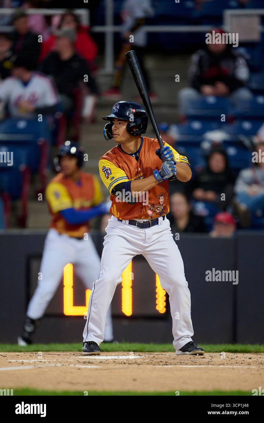 Binghamton Rumble Ponies Wyatt Young (2) bats during an MiLB Eastern ...