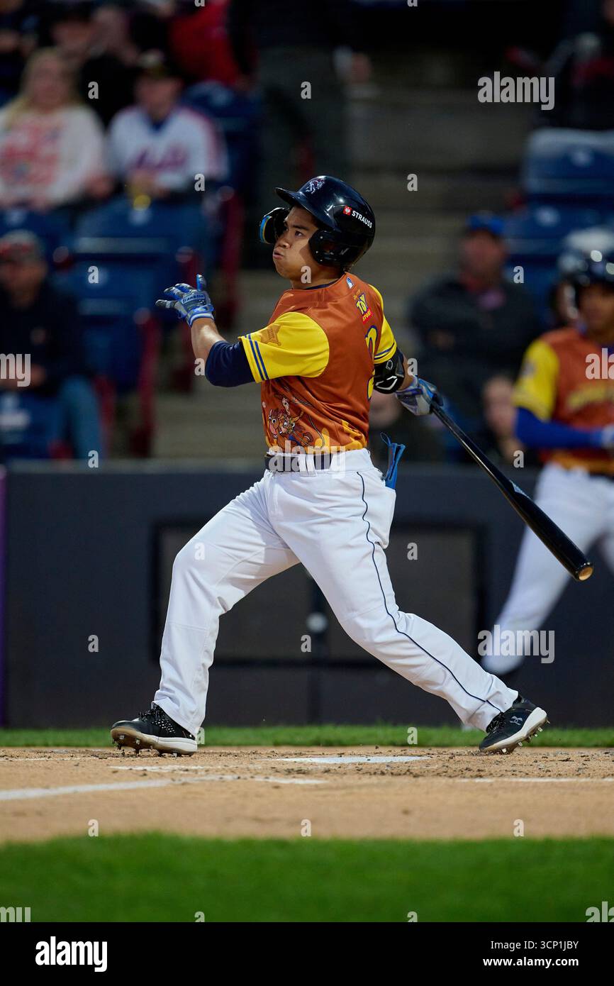 Binghamton Rumble Ponies Wyatt Young (2) bats during an MiLB Eastern ...