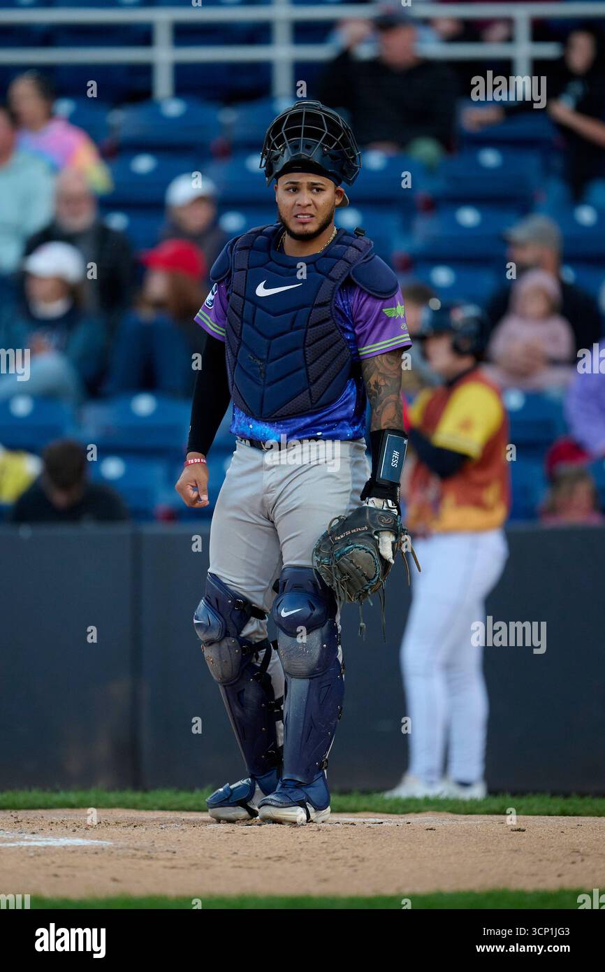 Somerset Patriots catcher Manuel Palencia (18) during an MiLB Eastern ...
