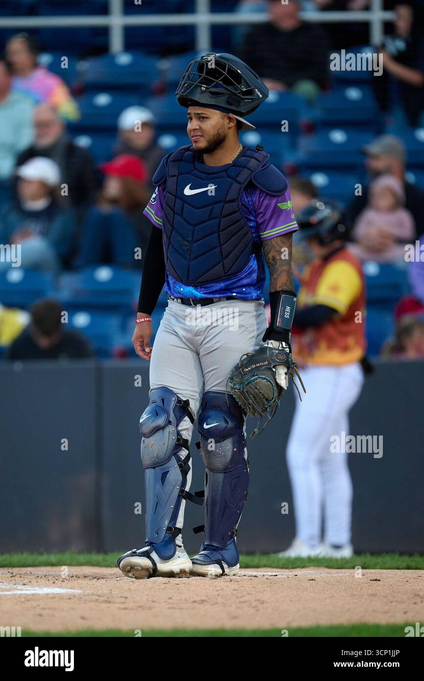 Somerset Patriots catcher Manuel Palencia (18) during an MiLB Eastern ...