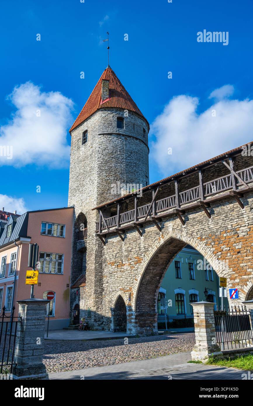 Nun Tower and Monastery Gate (Kloostrivärav) on Suur-Kloostri Tänav in ...