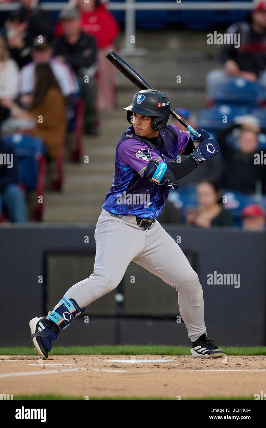 Somerset Patriots Jackson Castillo (11) bats during an MiLB Eastern ...