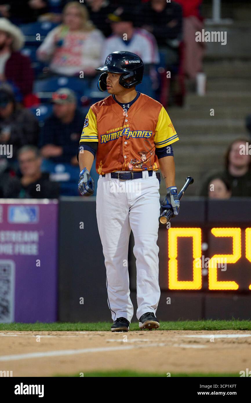 Binghamton Rumble Ponies Wyatt Young (2) bats during an MiLB Eastern ...