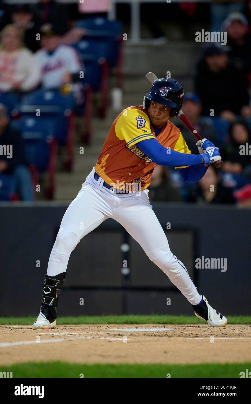 Binghamton Rumble Ponies Jefrey De Los Santos (10) bats during an MiLB ...