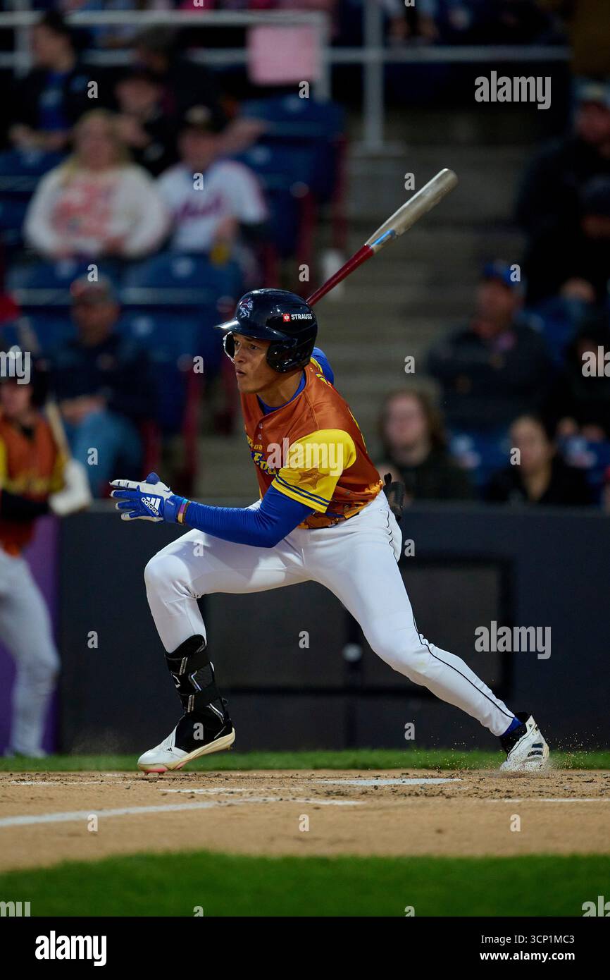 Binghamton Rumble Ponies Jefrey De Los Santos (10) bats during an MiLB ...