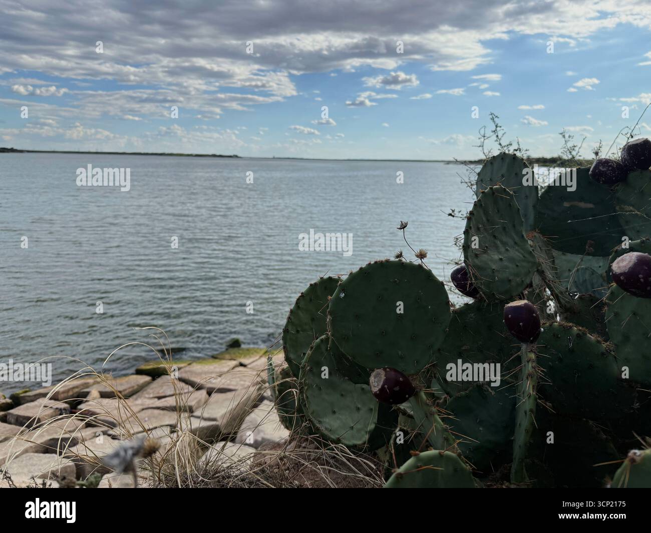 Lake Fort Phantom, the source of the city’s drinking water and is also ...