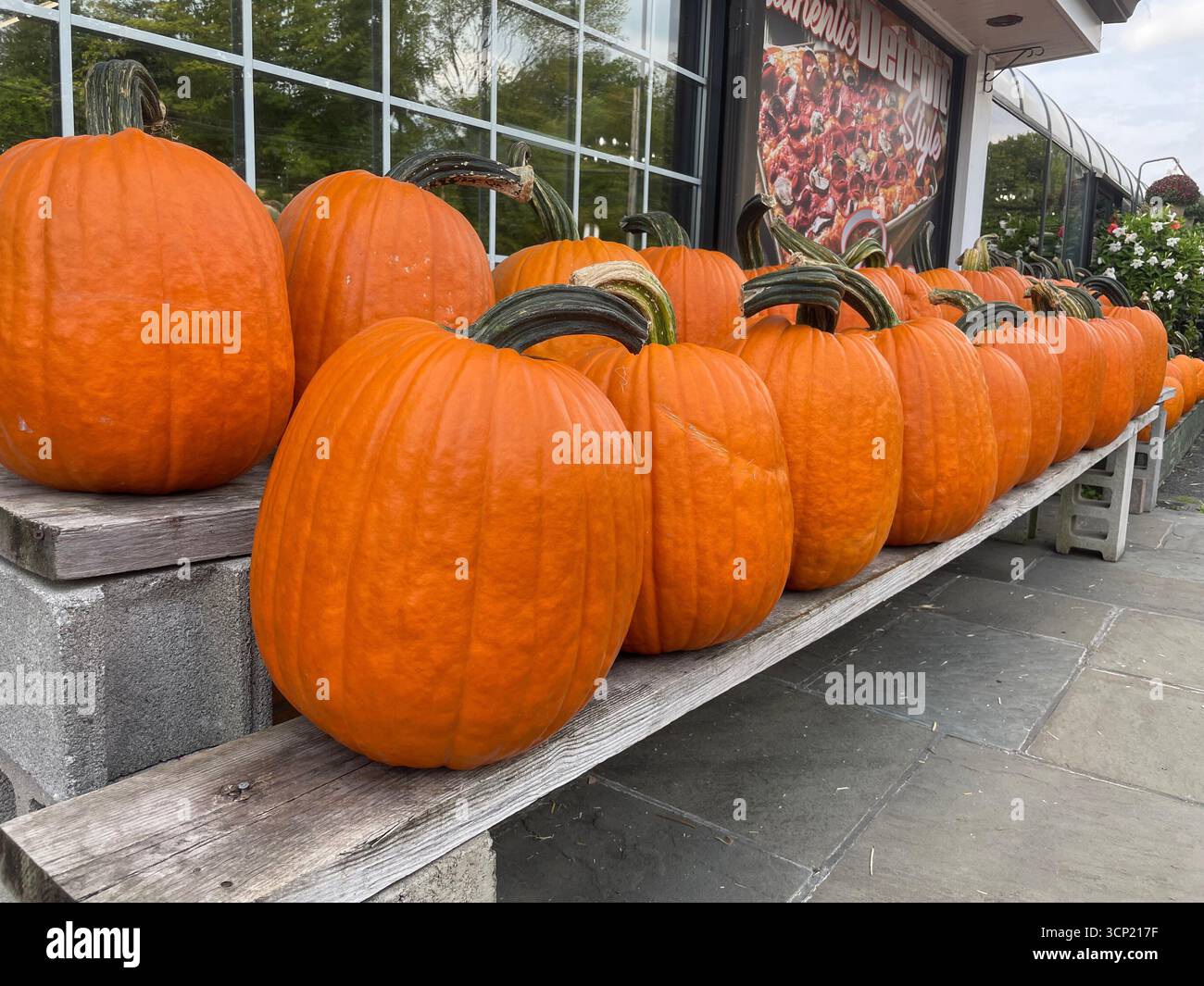 Photo by: STRF/STAR MAX/IPx 2025 9/23/25 Pumpkins and Gourds are seen ...