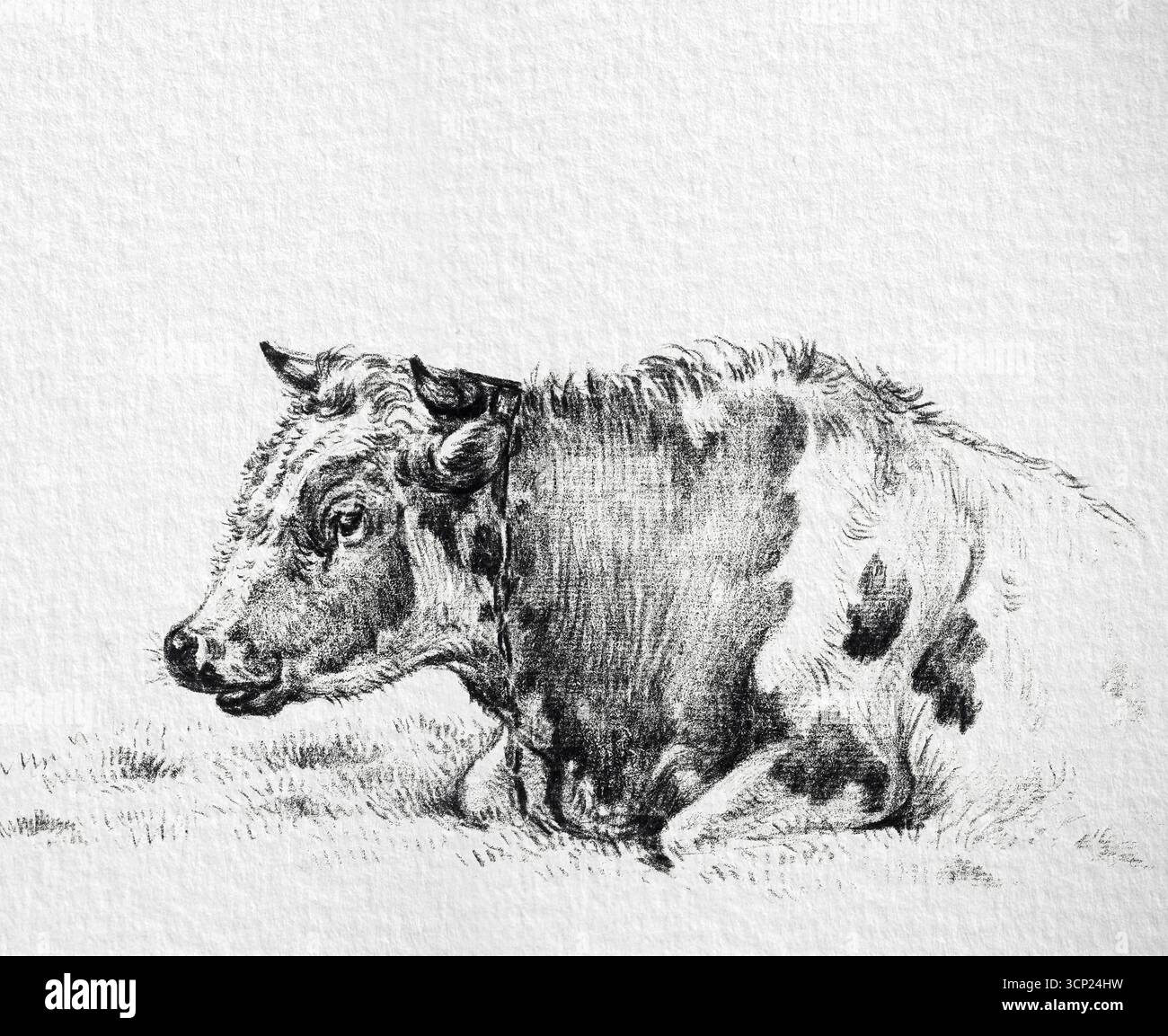 Lying Cow by Jean Bernard, 1828 - 19th century French pastoral painting ...
