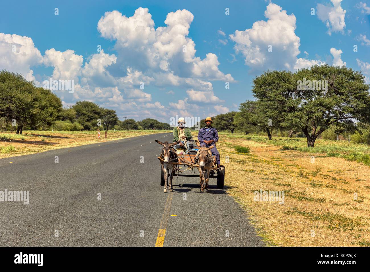 donkey cart on the road, africa water shortage, people carry water ...