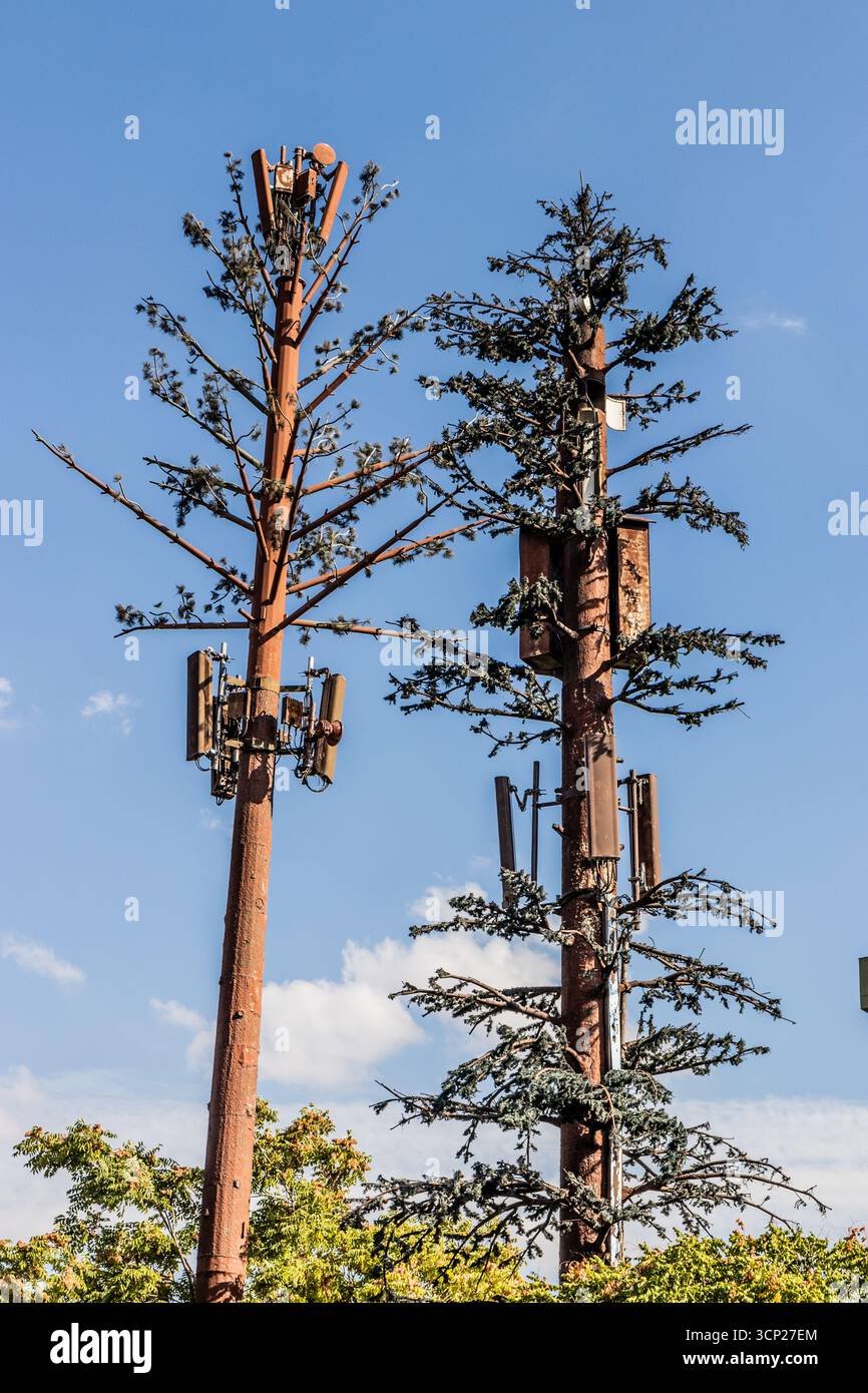 Cell phone masts disguised as trees in Ankara, Turkey Stock Photo - Alamy